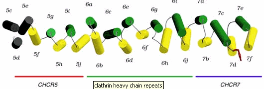 Untitled Document [www.bio.davidson.edu]