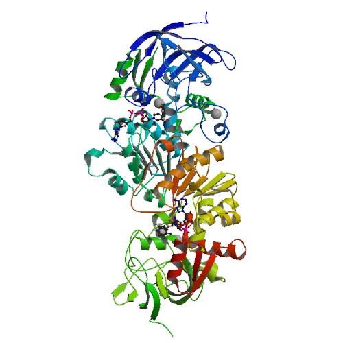 ADH Marissa's Protein
