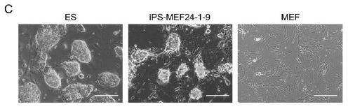 Untitled Document [www.bio.davidson.edu]