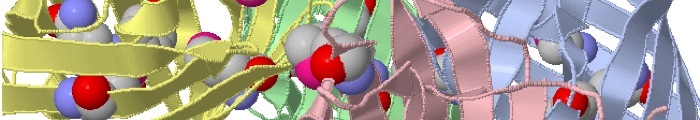 Red Fluorescent Protein Jmol Structure