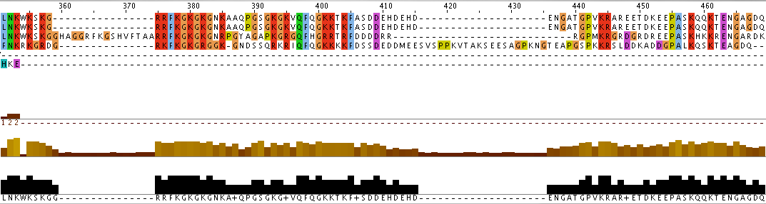 Davidson BIO309 Fall 2007 Genomics Project