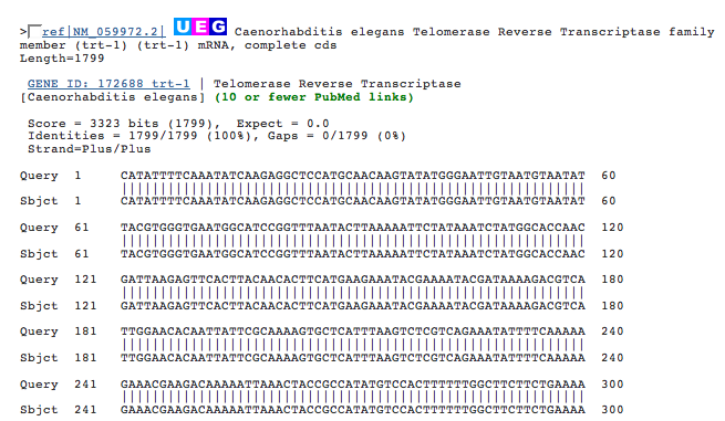 How to Use NCBI BLAST