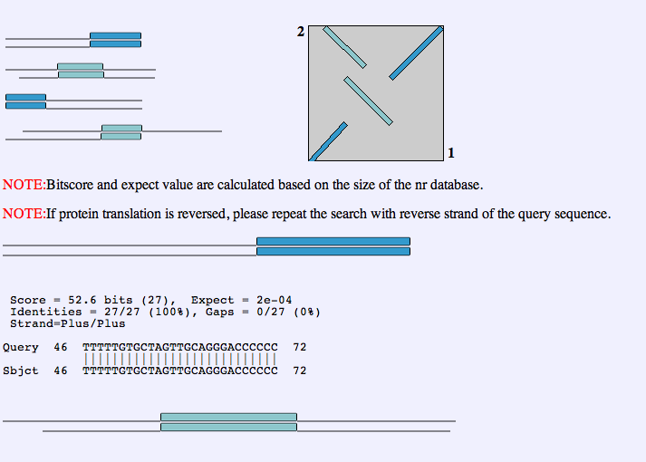 How to Use NCBI BLAST