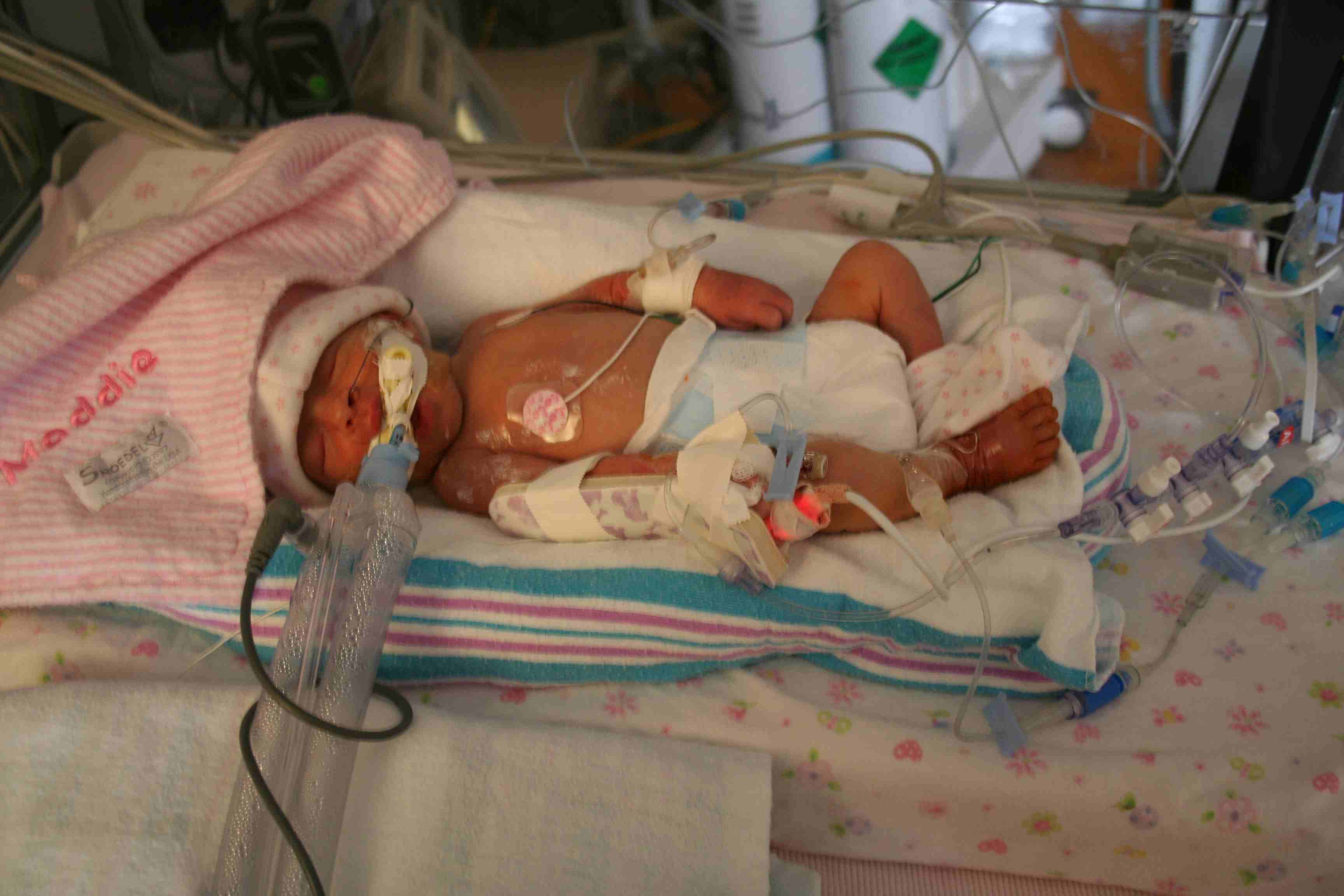 Untitled Document [www.bio.davidson.edu]