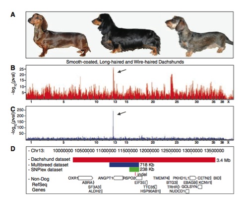 Untitled Document [www.bio.davidson.edu]
