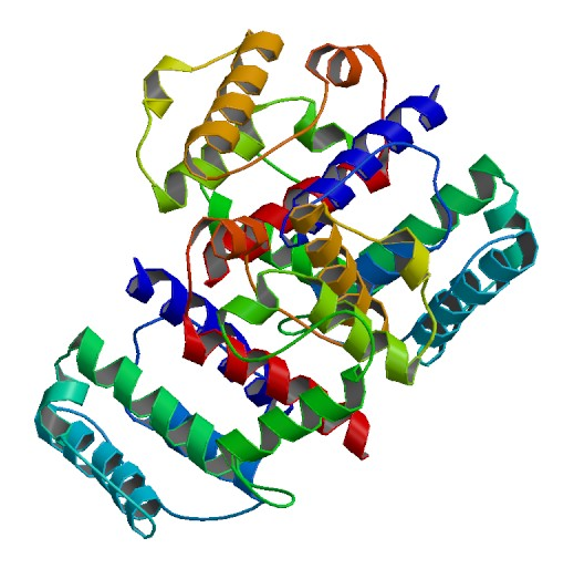 Davidson Genomics Student Course Page