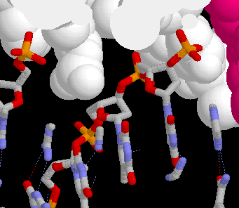 Tips for Using Chime