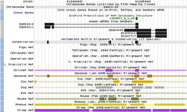 Popular Press vs. Scientific Article