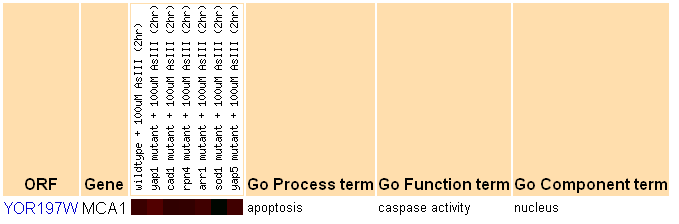 The Yeast Expressions MCA1 and YOR205C