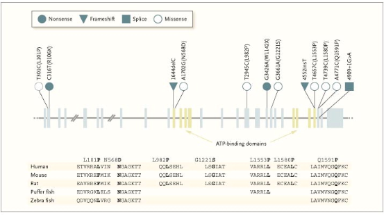Untitled Document [www.bio.davidson.edu]