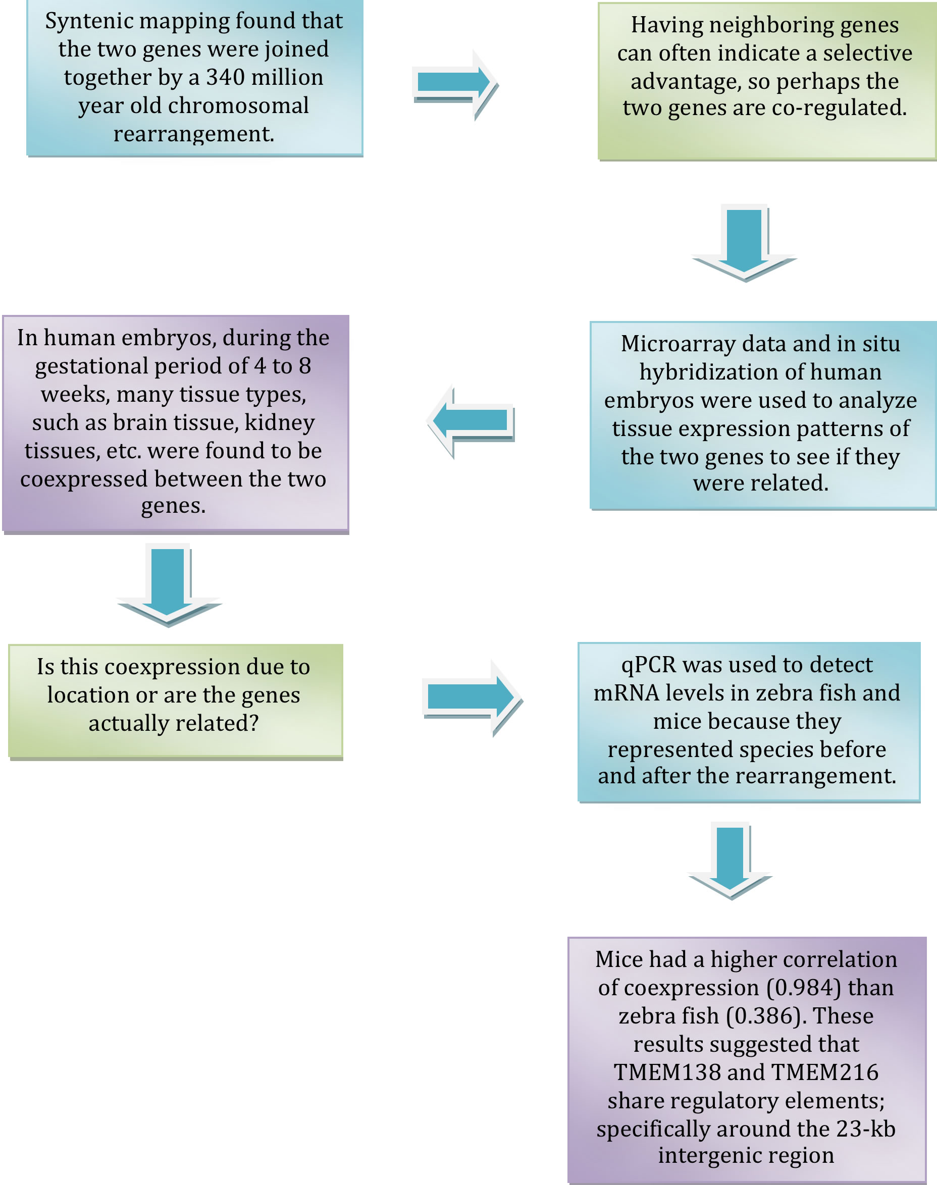 Olivia Brown's Genomics Web Page