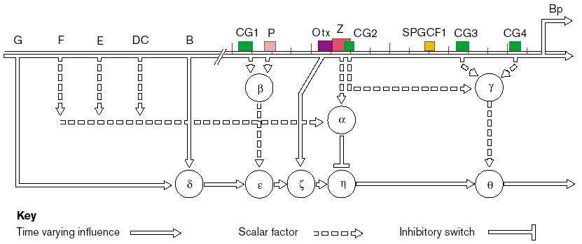 Guilford County - Genomic Circuits